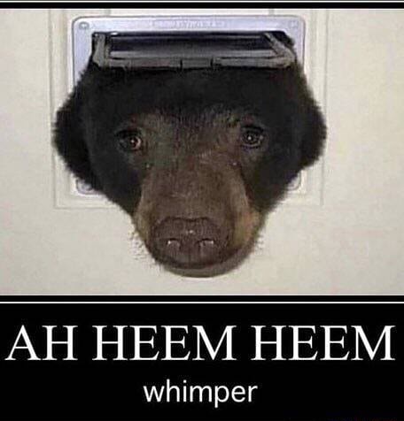 AH HEEM HEEM whimper - iFunny