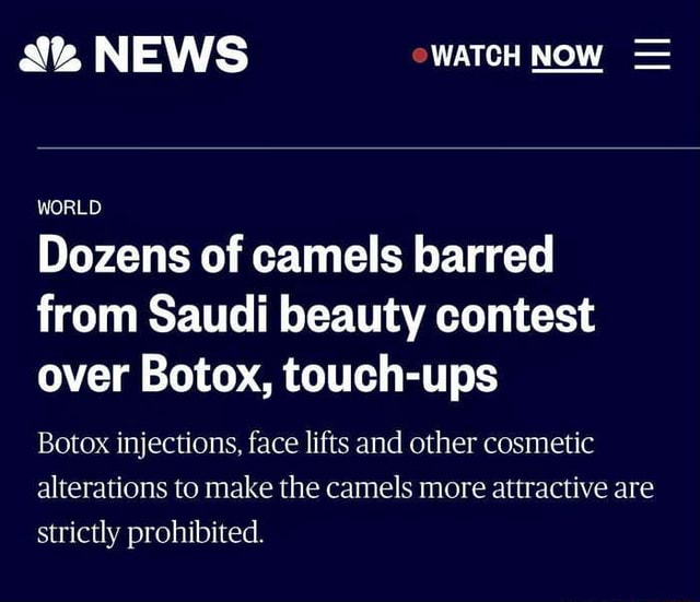 WATCH NOW = WORLD Dozens of camels barred from Saudi beauty contest ...