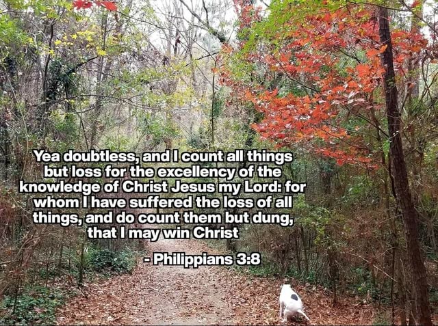 Yea doubtless, and count all things but loss for the excellency of the ...