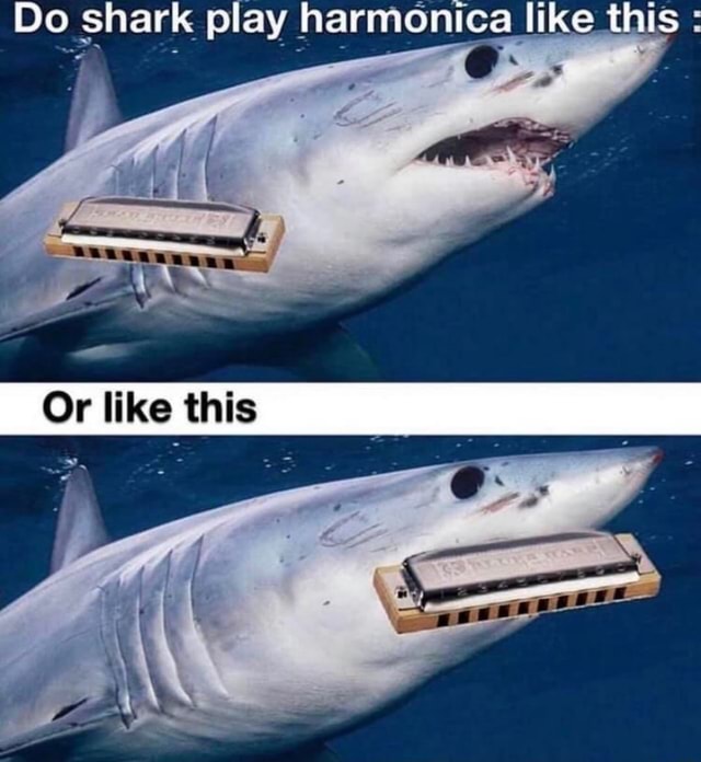 Do shark play harmonica like this Or like this - iFunny