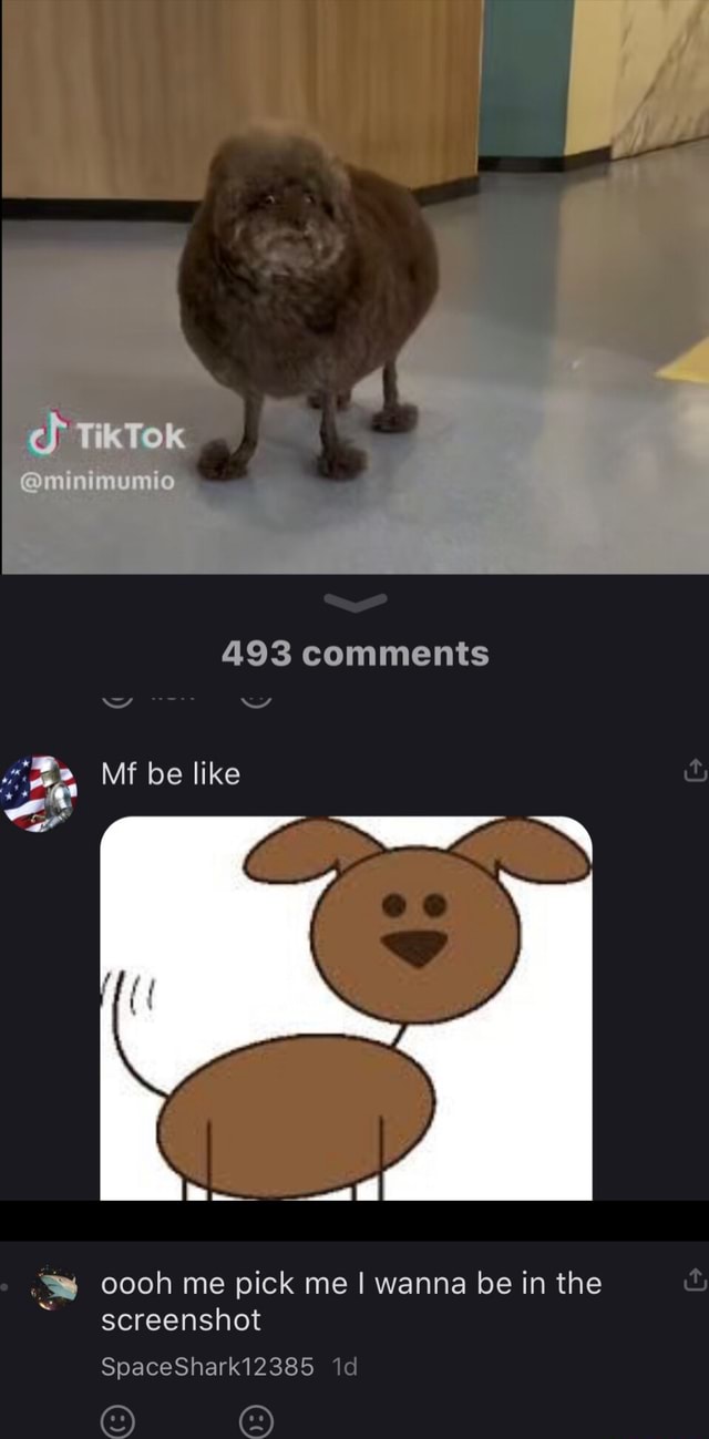 Screenshot SpaceShark12385 id & ok em 493 comments Mf be like I oooh me ...