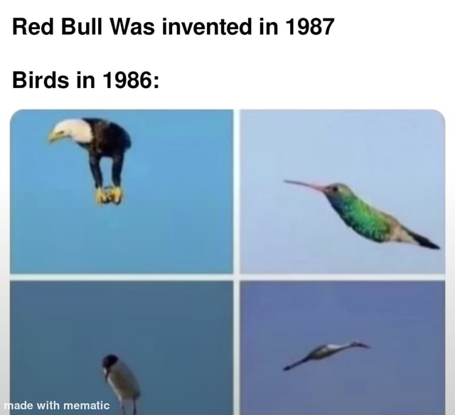 Red Bull Was invented in 1987 Birds in 1986: ade with mematic - iFunny