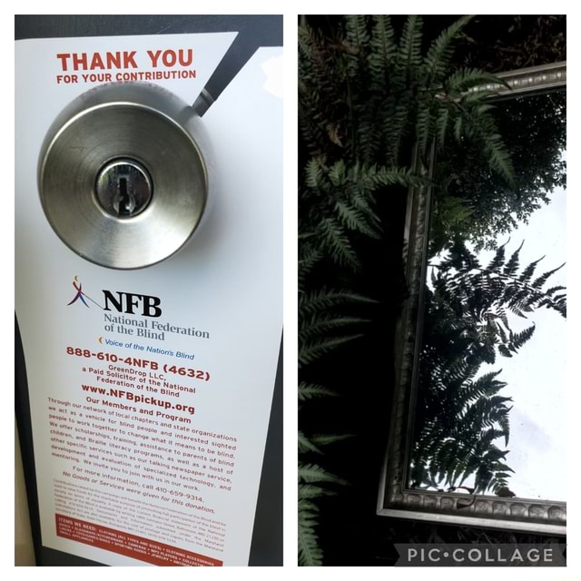 THANK YOU FOR YOUR CONTRIBUTION PIC*COLLAGE - iFunny