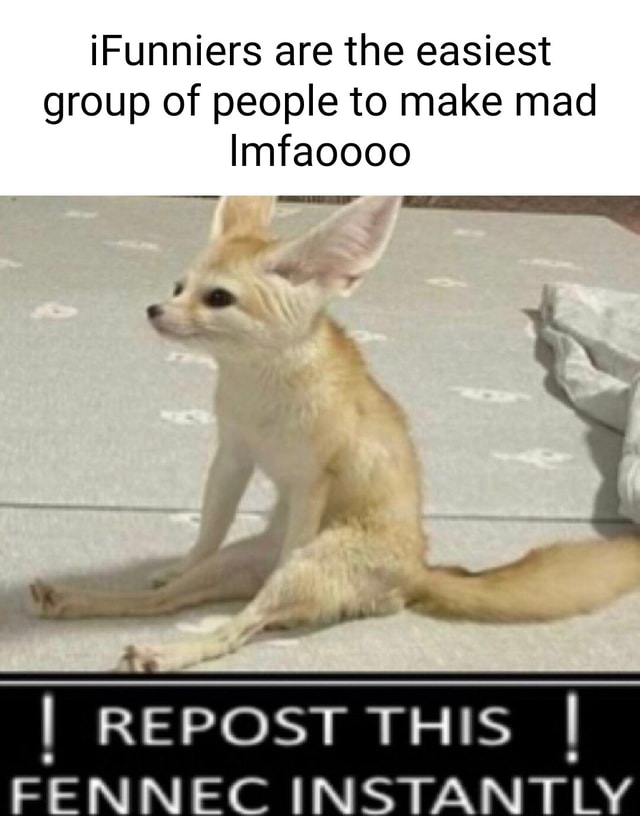 IFunniers are the easiest group of people to make mad Imfaoooo I REPOST ...