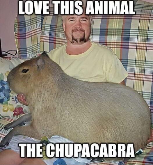 LOVE THIS ANIMAL THE CHUPACABRA - iFunny