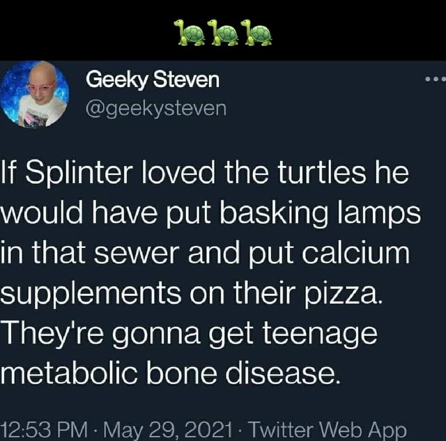 Geeky Steven If Splinter loved the turtles he would have put basking ...