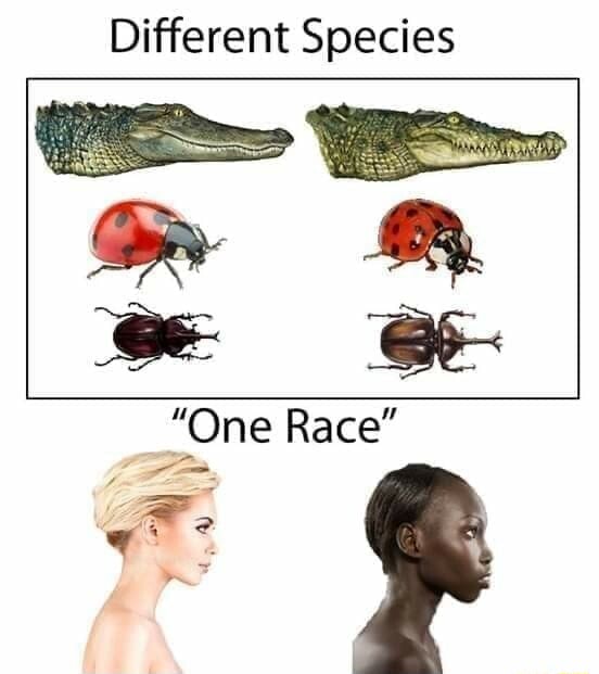 Different Species "One Race" af - iFunny