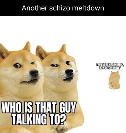 Another schizo meltdown WHO IS THAT GUY TALKING TO? - iFunny