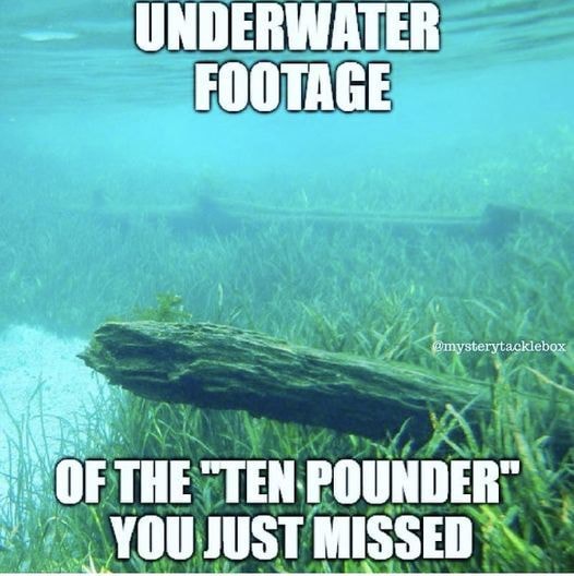 UNDERWATER FOOTAGE OF THE "TEN POUNDER" YOU JUST MISSED - America’s ...