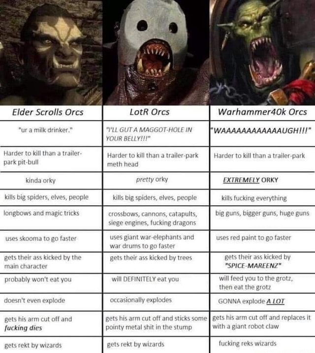 Elder Scrolls Orcs LotR Orcs Warhammer40k Orcs "I'LL GUT A MAGGOT-HOLE ...