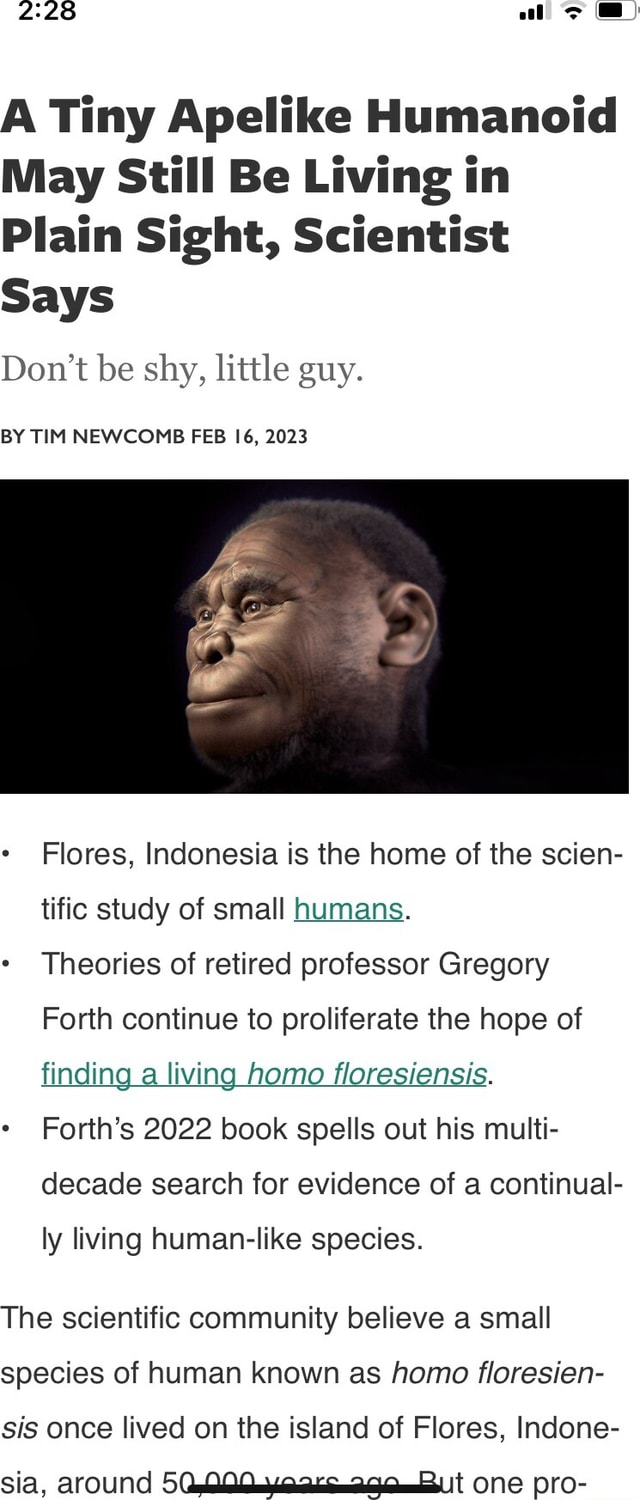 All A Tiny Apelike Humanoid May Still Be Living in Plain Sight ...