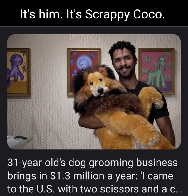 It's him. It's Scrappy Coco. 31-year-old's dog grooming business brings in $1.3 million a year ...