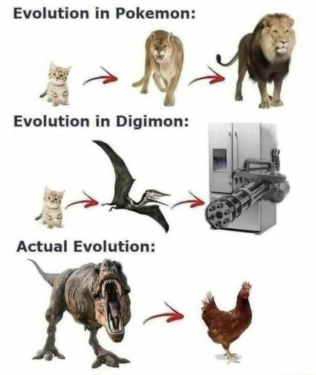 EVOLUTION IN A NUTSHELL(in a few images). - Evolution in Pokemon: Evolution in Digimon: Actual ...