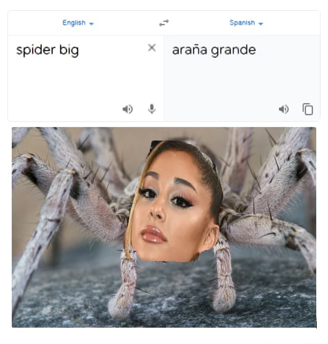 English ~ Spanish spider big arana grande EN - iFunny