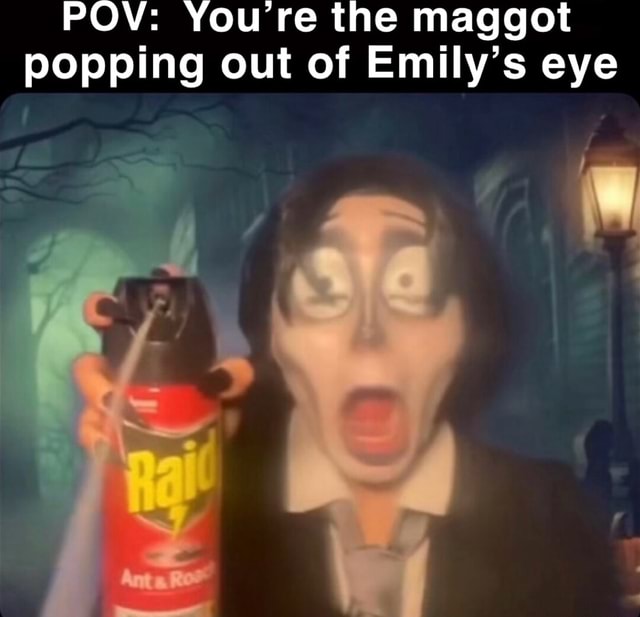 POW: You re the maggot popping out of Emily's eye - iFunny