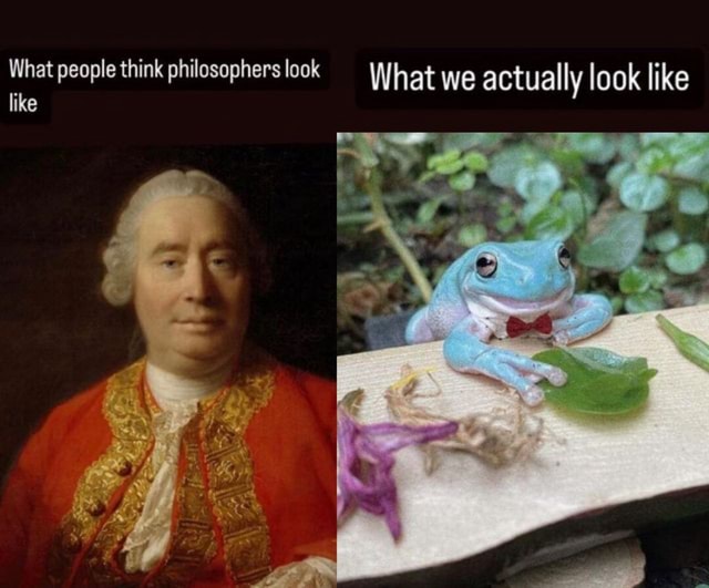 What people think philosophers look What we actually look like like ...