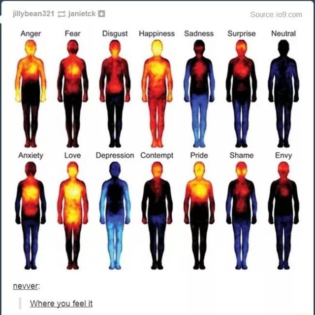 Anger Fear Disgust Happiness Sadness Surprise Neutral Anxiety Love ...