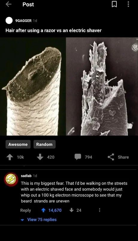 Post Hair after using a razor vs an electric shaver Awesome Random ...