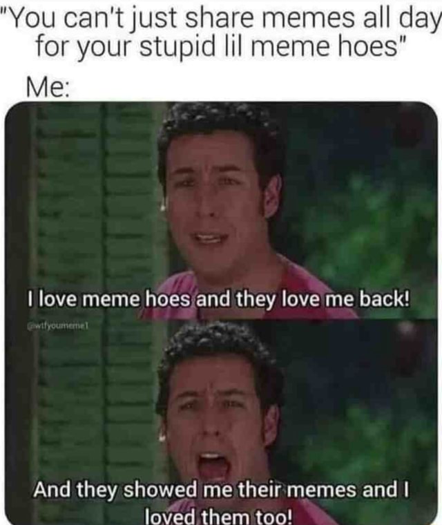 "You can't just share memes all da for your stupid lil meme hoes" Me: I ...