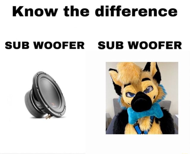 Know the difference SUB WOOFER SUB WOOFER - iFunny