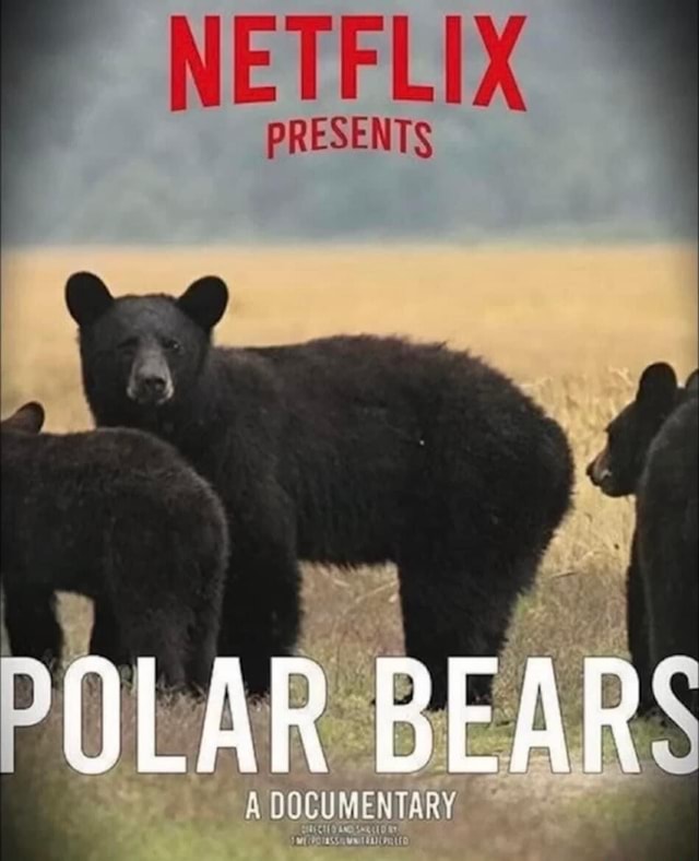 NETFLIX PRESENTS POLAR BEARS DOCUMENTARY - iFunny