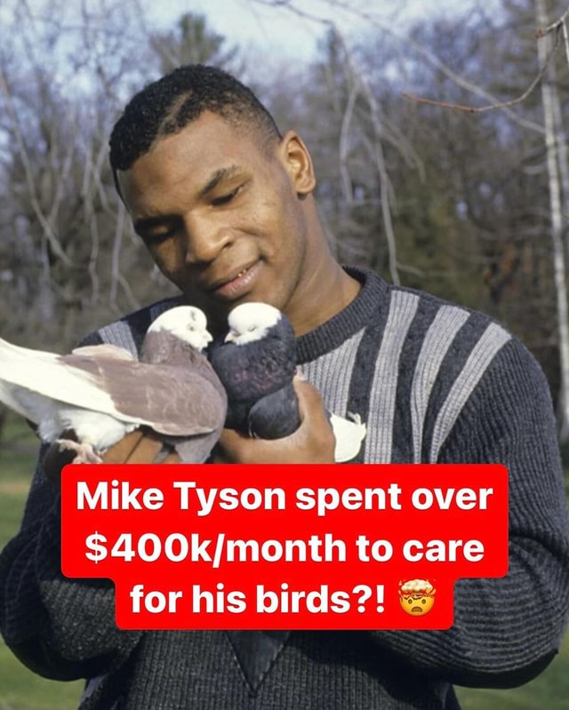 How Mike Tyson ended up racing pigeons 👀 - Tx Mike Tyson spent over to ...