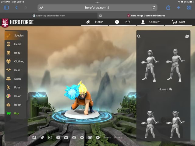 Goku (hf) - Mon Jun 13 aA Activity I Hero Forge Custom Miniatures HERO ...