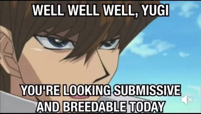 WELL WELL WELL, YUGI YOU'RE LOOKING SUBMISSIVE AND BREEDABLE TODAY - iFunny