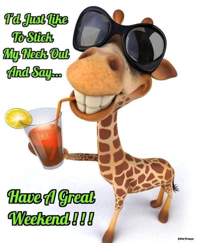 ☀☀ Good Morning! ☀☀ Happy Friday!! Have a great weekend! Looks like we ...