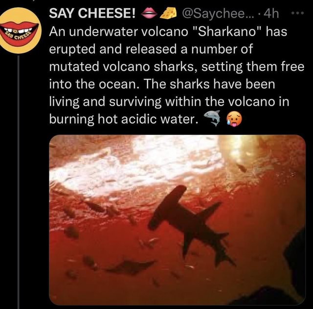 SAY CHEESE! @Saychee... An underwater volcano "Sharkano" has erupted ...