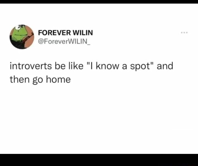 FOREVER WILIN introverts be like know a spot" and then go home - iFunny