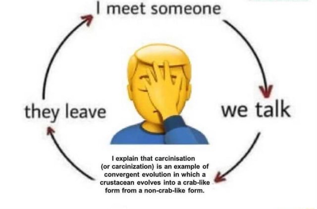 They leave I meet someone SS we talk explain that carcinisation (or ...