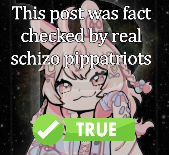This post was fact checked by real schizo pippatriots TRUE - iFunny