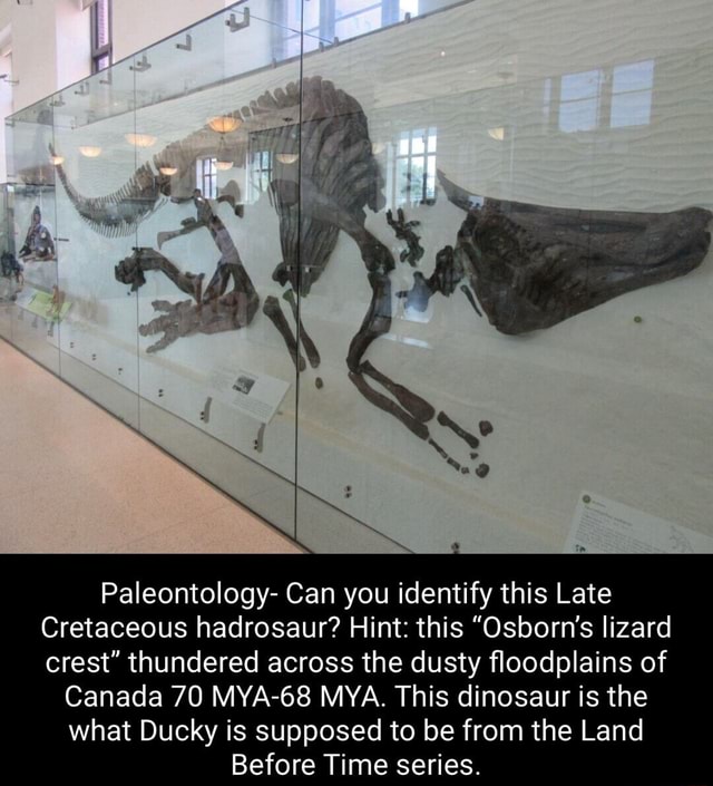 Paleontology- Can you identify this Late Cretaceous hadrosa ur? Hint ...