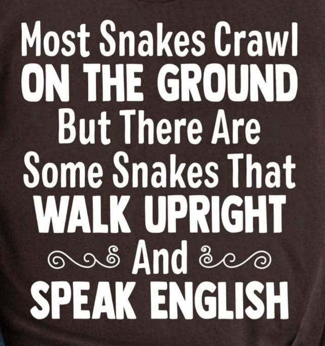 Most Snakes Crawl ON THE GROUND But There Are Some Snakes That WALK ...