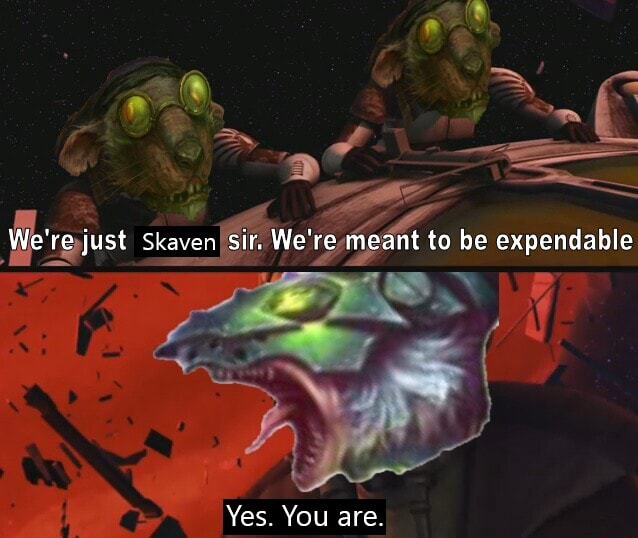 We're just Skaven sir. We're meant to be expendable Yes. You are. - iFunny