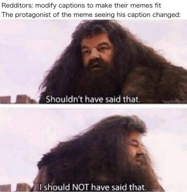 Redditors: modify captions to make their memes fit The protagonist of ...