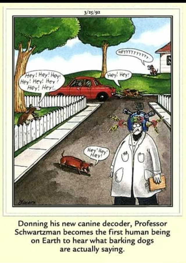 Donning his new canine decoder, Professor Schwartzman becomes the first ...
