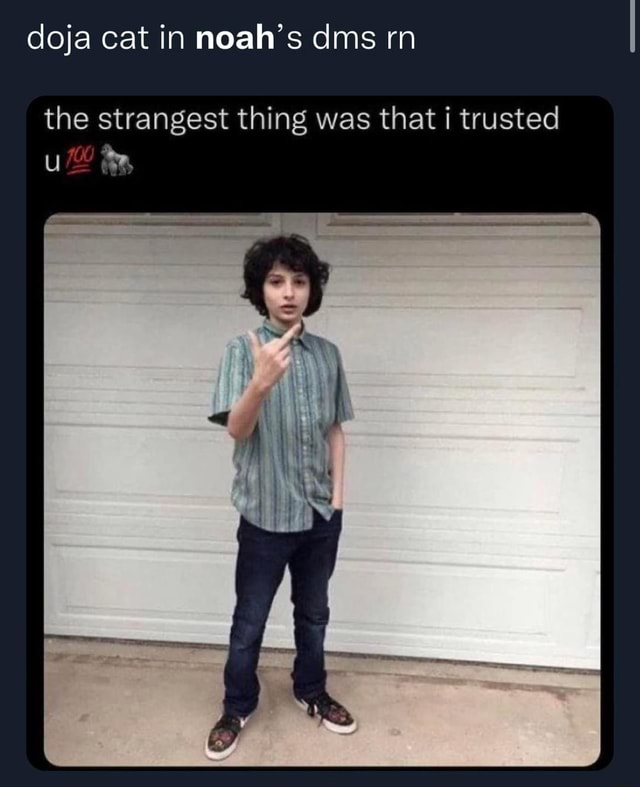 Doja cat in noah's dms rn the strangest thing was that i trusted - iFunny