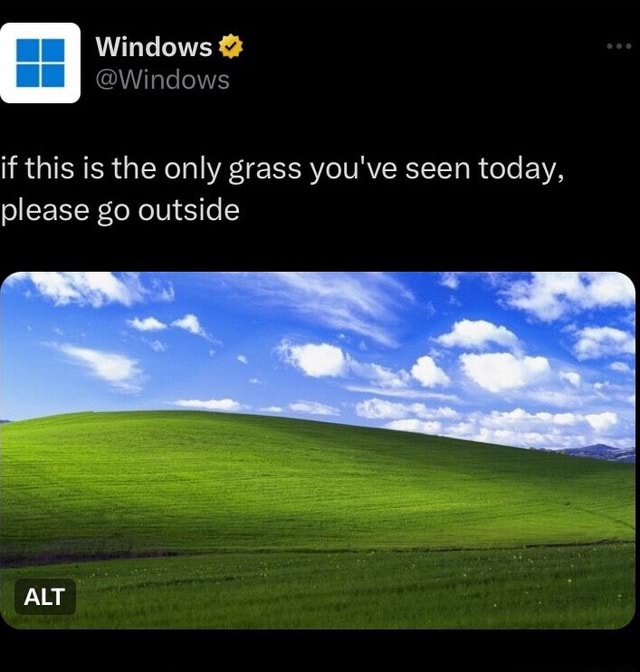 Windows @windows if this is the only grass you've seen today, please go ...