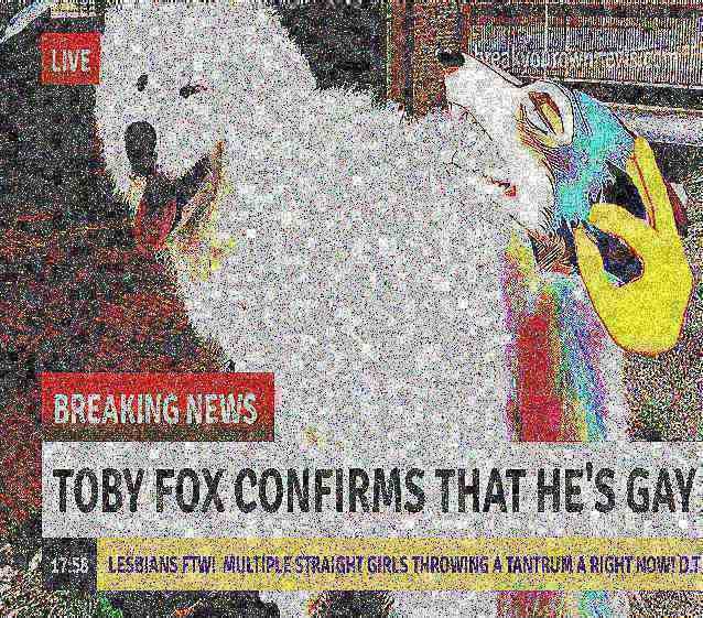 BREAKING NEWS TOBY FOX CONFIRMS THAT HE'S GAY - iFunny