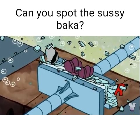 Can you spot the sussy baka? - iFunny