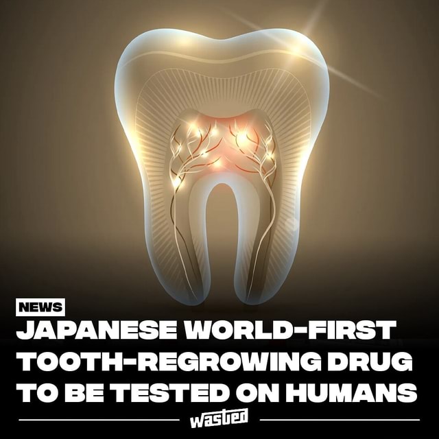Japanese researchers are nearing a groundbreaking advancement in dental ...