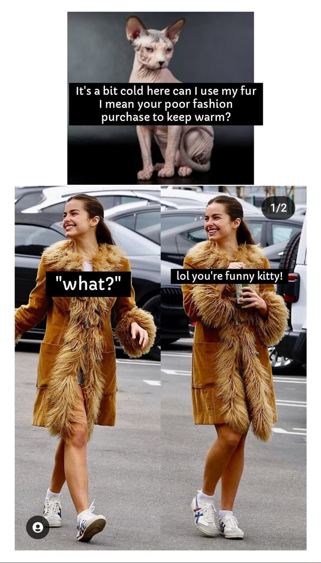 It's a bit cold here can I use my fur I mean your poor fashion purchase ...