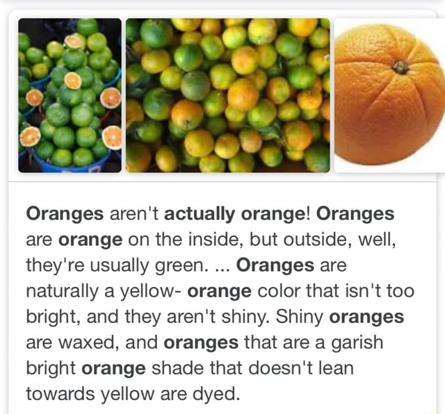 Oranges aren't actually orange! Oranges are orange on the inside, but ...