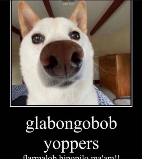 Glabongobob yoppers MM aviutasa To - iFunny