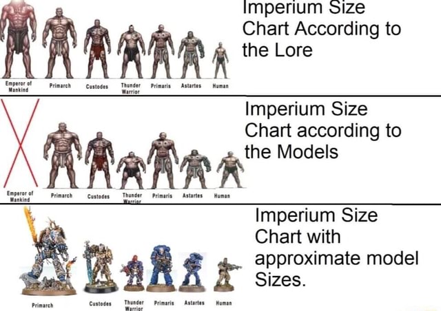 Imperium size Custodes Chart According to the Lore Imperium Size Chart ...