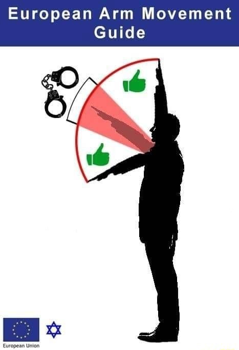 European Arm Movement Guide - iFunny