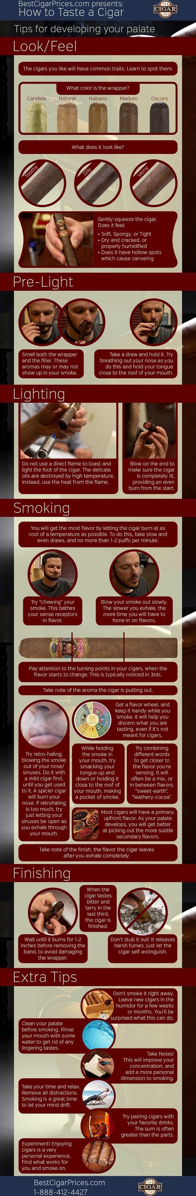 Presents: How to Taste a Cigar Tips for developing your palate I The ...