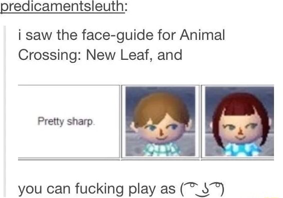 Predicamentsieuth: i saw the face-guide for Animal Crossing: New Leaf ...